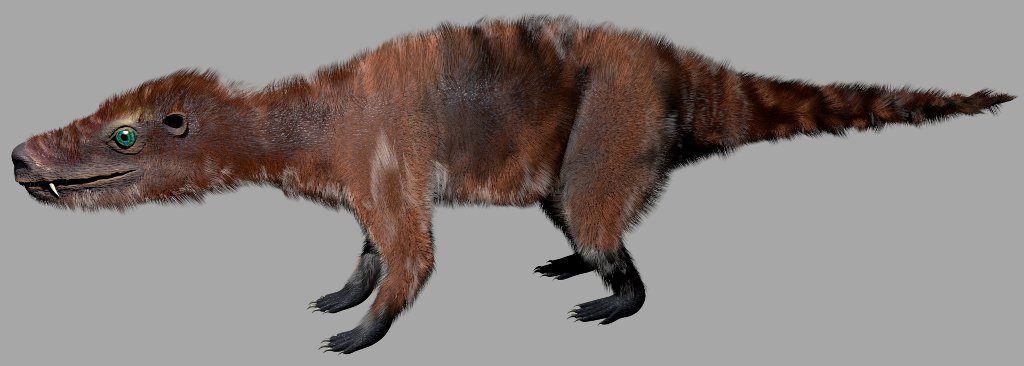 cynodont Archives - Laughing Mantis Studio