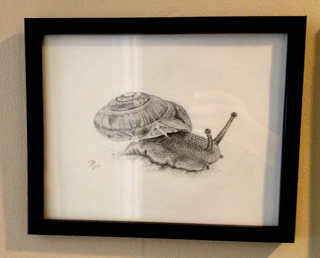 shell Archives - Laughing Mantis Studio