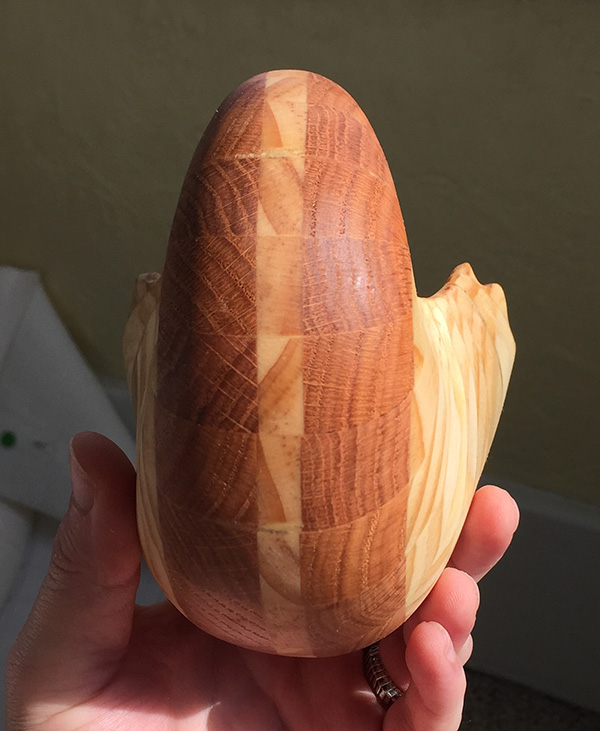 shell Archives - Laughing Mantis Studio